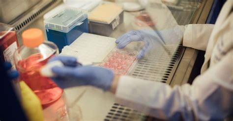 Conquer Cancer The Asco Foundation On Linkedin Medulloblastoma