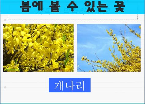 인지과학 봄꽃의종류꽃이름알기사계절알기봄에하는일봄날씨그림자연결하기봄꽃퀴즈무료프린트학습지무료유아학습지 네이버 블로그