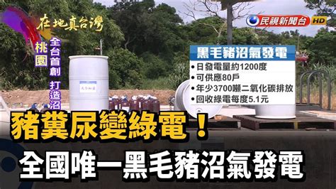 20201018【在地真台灣】豬糞尿變綠電！全國唯一黑毛豬沼氣發電 Youtube