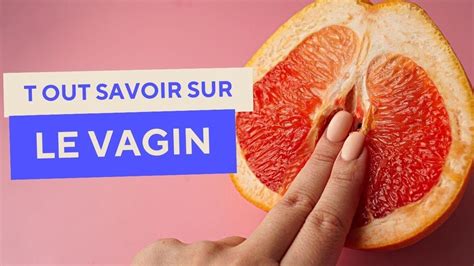 Vagin Tout Savoir Sur Le Vagin Anatomie Maladies Examens