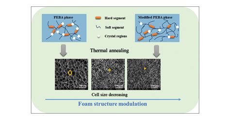 Cell Structure Variation Of Long Chain Branched Polyether Block Amide Cell Structure Variation Of Long Chain Branched Polyether Block Amide