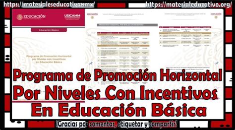 Todo Sobre El Programa De Promoción Horizontal Por Niveles Con