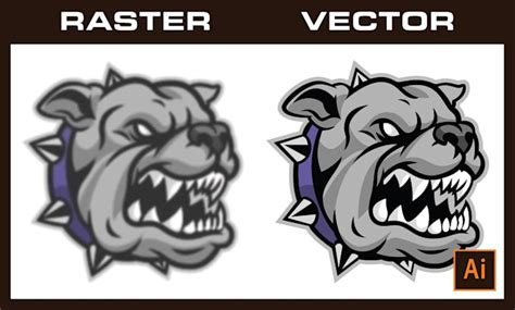 Convert Raster Image Into Vector Graphics By Aytot Fiverr