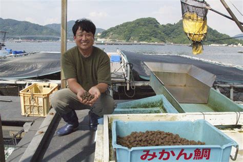 養殖魚、餌の工夫やバイオでブランド化 「みかん鯛」や「信州サーモン」｜経済｜全国海外｜京都新聞 On Business