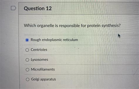 Solved Question 12Which Organelle Is Responsible For Protein Chegg