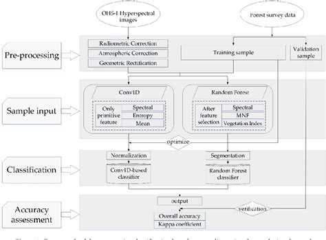 Figure 2 From Mapping Tree Species Composition Using Ohs 1 Hyperspectral Data And Deep Learning