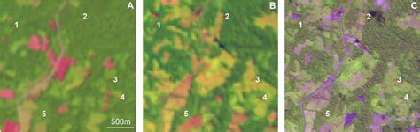 Point Based Validation Example Landsat 30 M Imagery For Year 2000 A Download Scientific