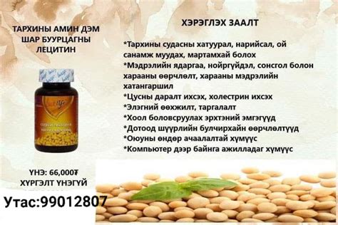 Эрүүл монгол хүн Luck Life 2 Тархины Амин дэм Тархины тэжээл Таны