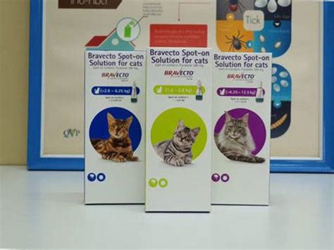 Bravecto Cat 2 8 6 25 Kg