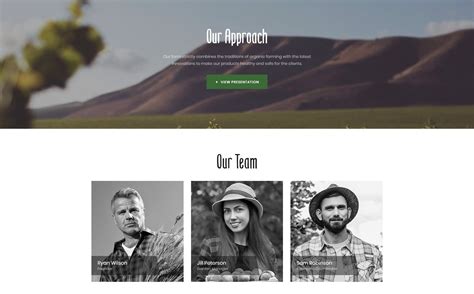 Free Website Template For Food Delivery