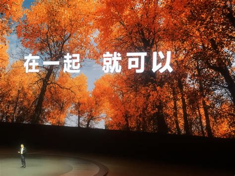 华为mate40系列中国价格比欧洲便宜2000元，余承东：“在一起就可以”，还要有胡杨树精神 周到
