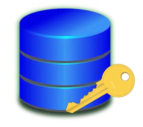 Importance Of Primary Key Samuel Sum Blog
