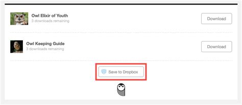 Adding A Save To Dropbox Button SendOwl