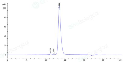 Recombinant Human Sirp Alpha Shps 1 Protein 11612 H08h Sino Biological