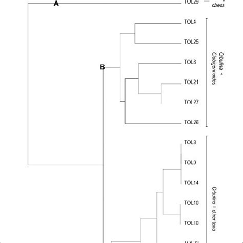 Dendrogram In Q Mode Of The Cluster Analysis Upgma Chord Algorithm