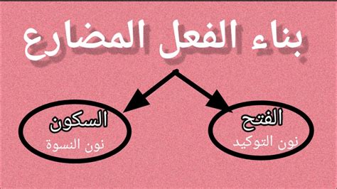 بناء فعل المضارع شرح بسيط تمارين للإعرابالثالثةمتوسط Youtube