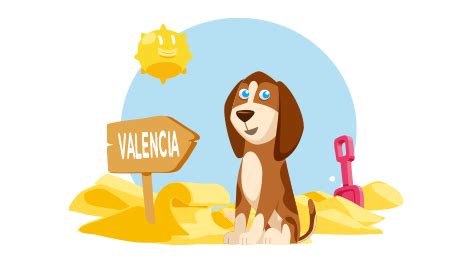 Playas Que Admiten Perros En Valencia OUIGO