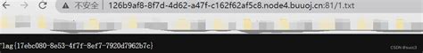 Rctf 2019 Nextphpffi 安全性问题 Csdn博客