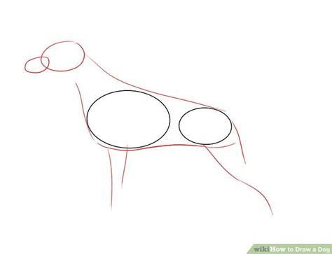 Как нарисовать добермана по этапно 96 фото