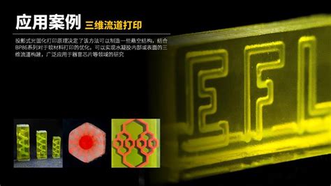 科学网—efl团队2021年度回顾 贺永的博文