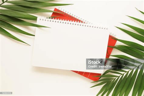 흰색과 빨간색 노트북과 녹색 손바닥은 흰색 배경 상단보기에 나뭇잎 공간을 복사합니다 플랫 레이 조성물 0명에 대한 스톡 사진 및