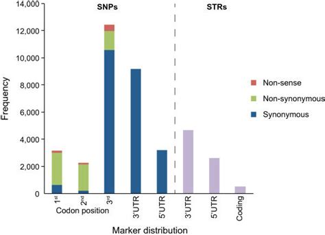 Genetic Markers Distribution At The Coding Loci Snps And Strs Within Download Scientific