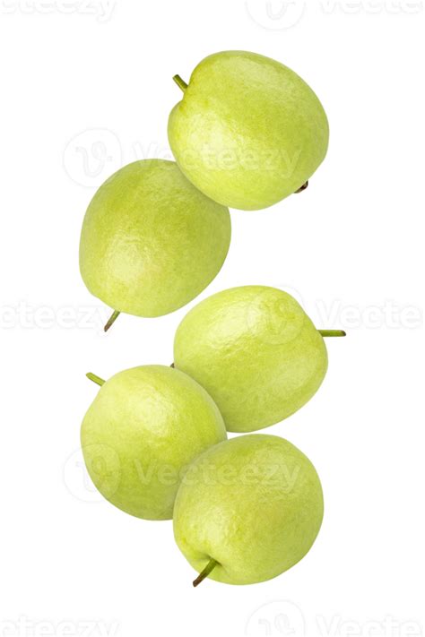 Falling Guava Cutout Full Depth Of Field 51805335 Png