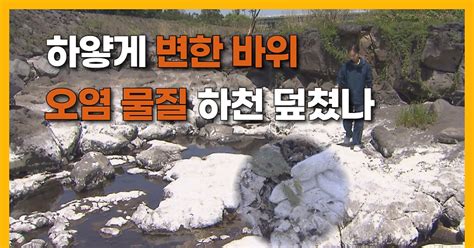 자막뉴스 폭설 맞은 듯 하얘진 바위 오염 물질 유입 가능성