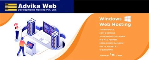 Windows Web Hosting Service At Rs 2650year Domain Hosting Service