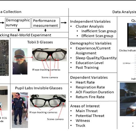 Methodological Infographic Data Collection And Data Analysis Download Scientific Diagram