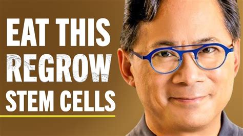 Top Food Hacks To Regenerate Stem Cells Boost Brain Health Improve