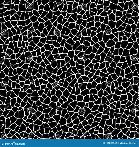 Seamless Patternthe Cracks Texture White And Black Stock Illustration Illustration Of