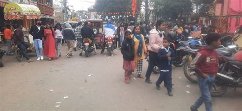 Pedestriandataset Object Detection Model By Pedestriandataset