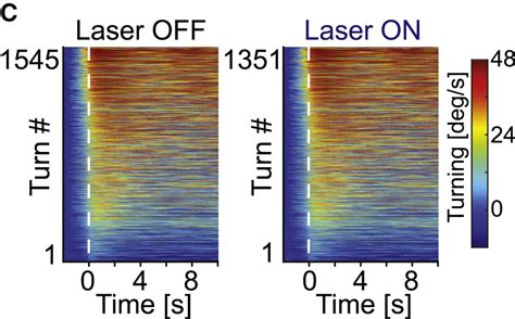 Mouse Motor Cortex Coordinates The Behavioral Response To Unpredicted Sensory Feedback Neuron
