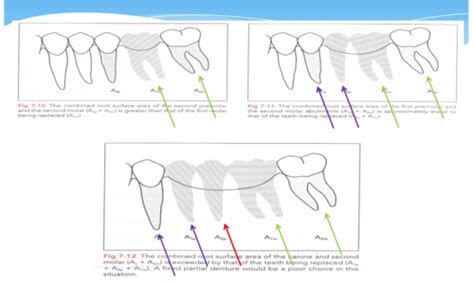 Introduction And Kennedy Classification Unit 1 Flashcards Quizlet