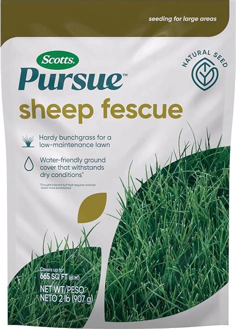 Scotts Pursue Sheep Fescue With Natural Seed Seeding For