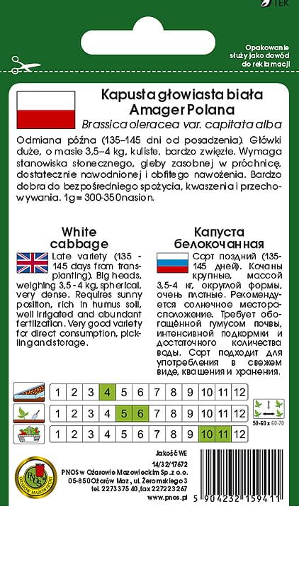 Kapusta głowiasta biała AMAGER POLANA g Sklep internetowy PNOS