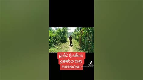 බුද්ධ දියණිය දුෂණය කළ පාපතරයා Youtube