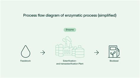 Make Biodiesel From Your Byproducts Novonesis