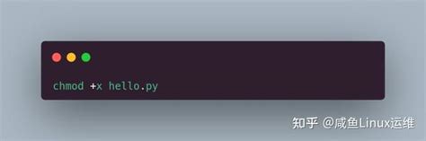 运行 Python 脚本 代码的几种方式 知乎