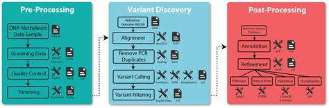 Github Neurosyd Ngs Variant Analysis Novel Mutations Are Identified In Leukemia Through