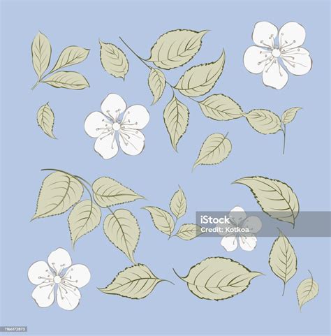 벚꽃 요소의 집합입니다 파란색 배경에 봄 꽃의 컬렉션입니다 0명에 대한 스톡 벡터 아트 및 기타 이미지 0명 건강한 생활방식 공장 산업 건물 Istock