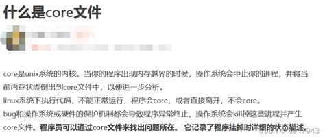 Xctf攻防世界 Misc高手进阶区 Hit The Core Csdn博客
