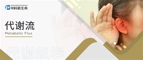 项目文章rb（if 10 787） 上海交通大学医学院附属新华医院杨军教授团队利用代谢流技术揭示老年性耳聋新机制 知乎