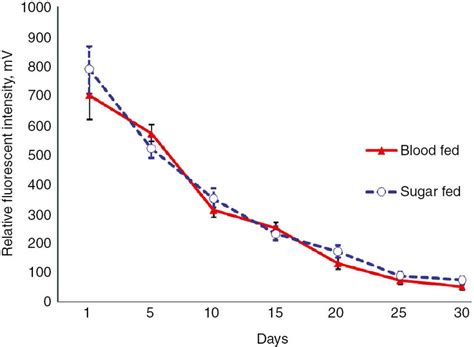 Alteration Of Pteridines Compounds Of The Whole Body Of Anopheles