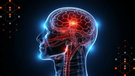 Ai Can Predict Brain Cancer Patients Survival Kings College London