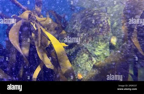 Splashing The Sea Water Stock Videos And Footage Hd And 4k Video Clips Alamy