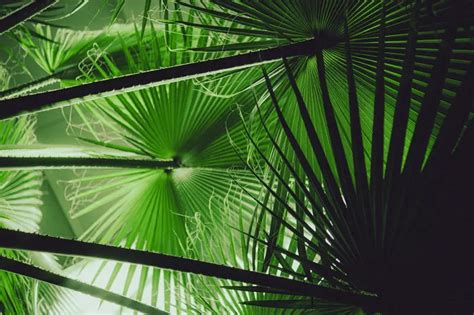 Installing Alpine Linux From Usb Drive Complete Installation Guide Krython