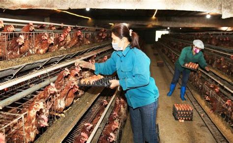 Sản xuất nông nghiệp 6 tháng đầu năm 2023 Nhiều gam màu tươi sáng