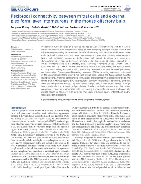 Pdf Reciprocal Connectivity Between Mitral Cells And External Plexiform Layer Interneurons In